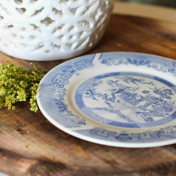 Blue and White Toile Plate - Etsy