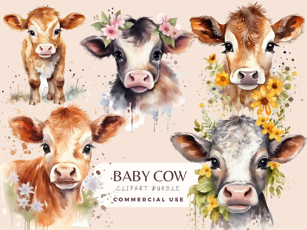 Watercolor Baby Cow Clipart Bundle Clipart PNG for Commercial - Etsy