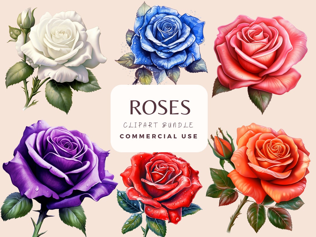 Beautiful Roses Clipart Bundle Commercial Use Digital Image - Etsy