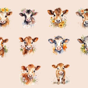 Watercolor Baby Cow Clipart Bundle Clipart PNG for Commercial - Etsy