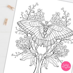 Butterfly Coloring Page, Swallowtail Butterfly Coloring Sheet ...