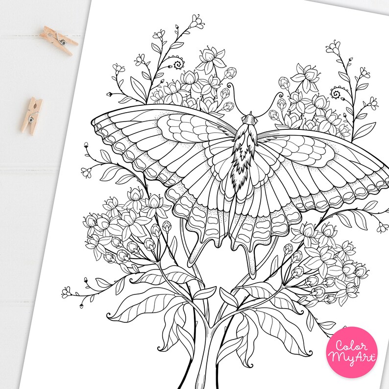 Butterfly Coloring Page, Swallowtail Butterfly Coloring Sheet ...