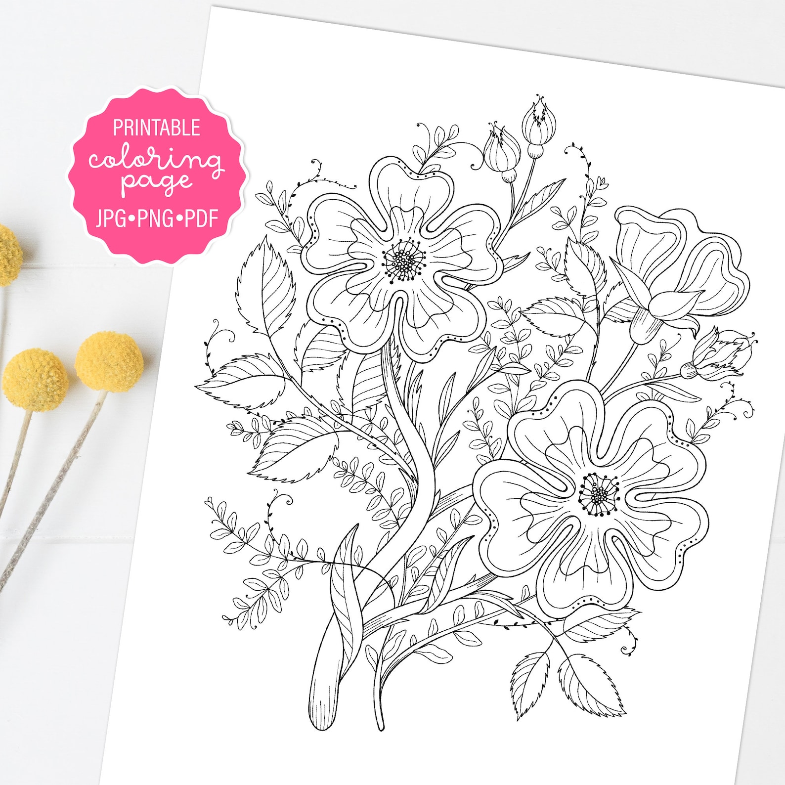 Wild Rose Coloring Page, Floral Botanical Coloring Sheet, Adult ...