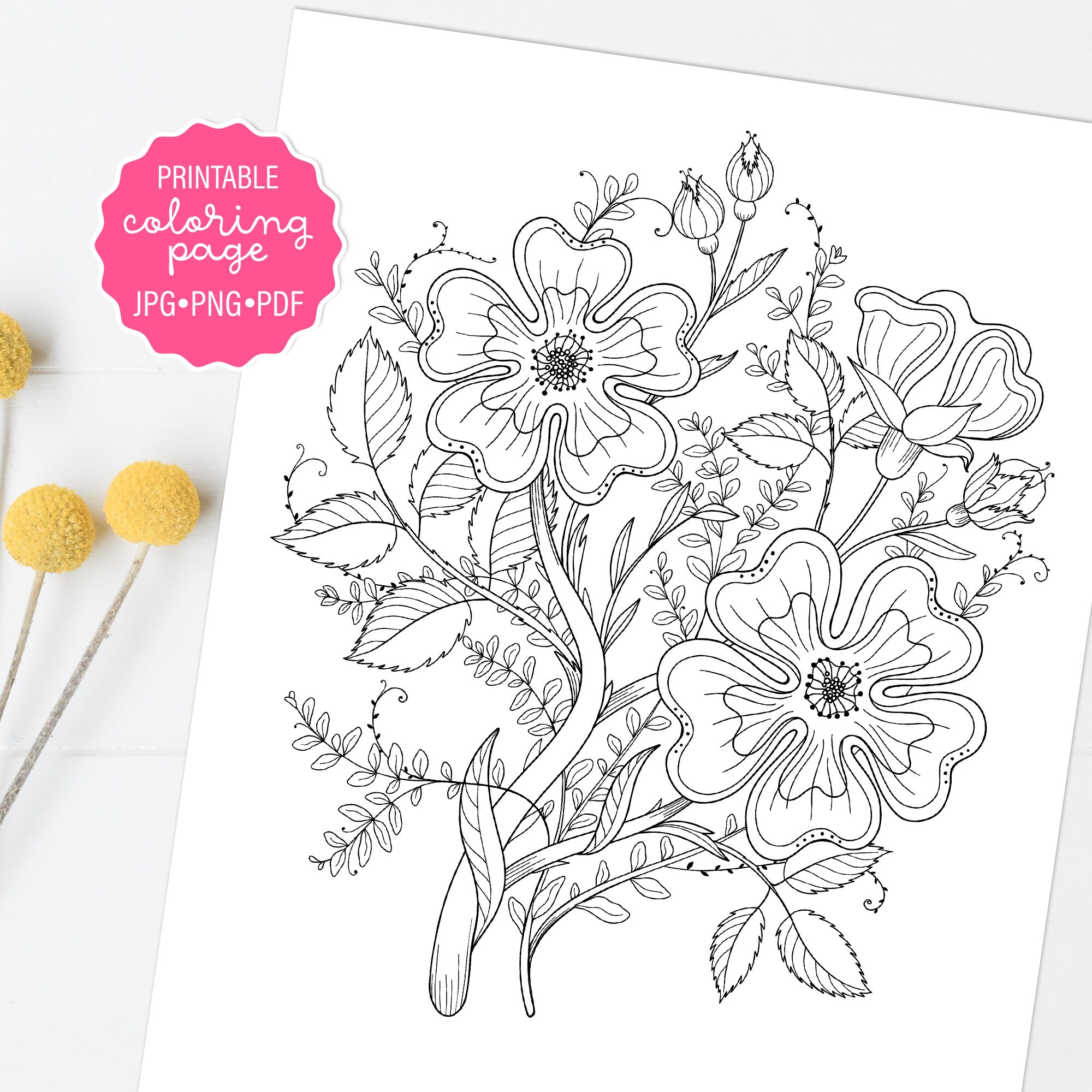 Wild Rose Coloring Page, Floral Botanical Coloring Sheet, Adult ...
