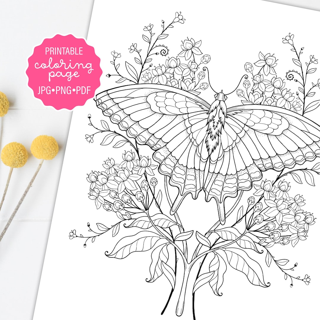 Butterfly Coloring Page, Swallowtail Butterfly Coloring Sheet ...