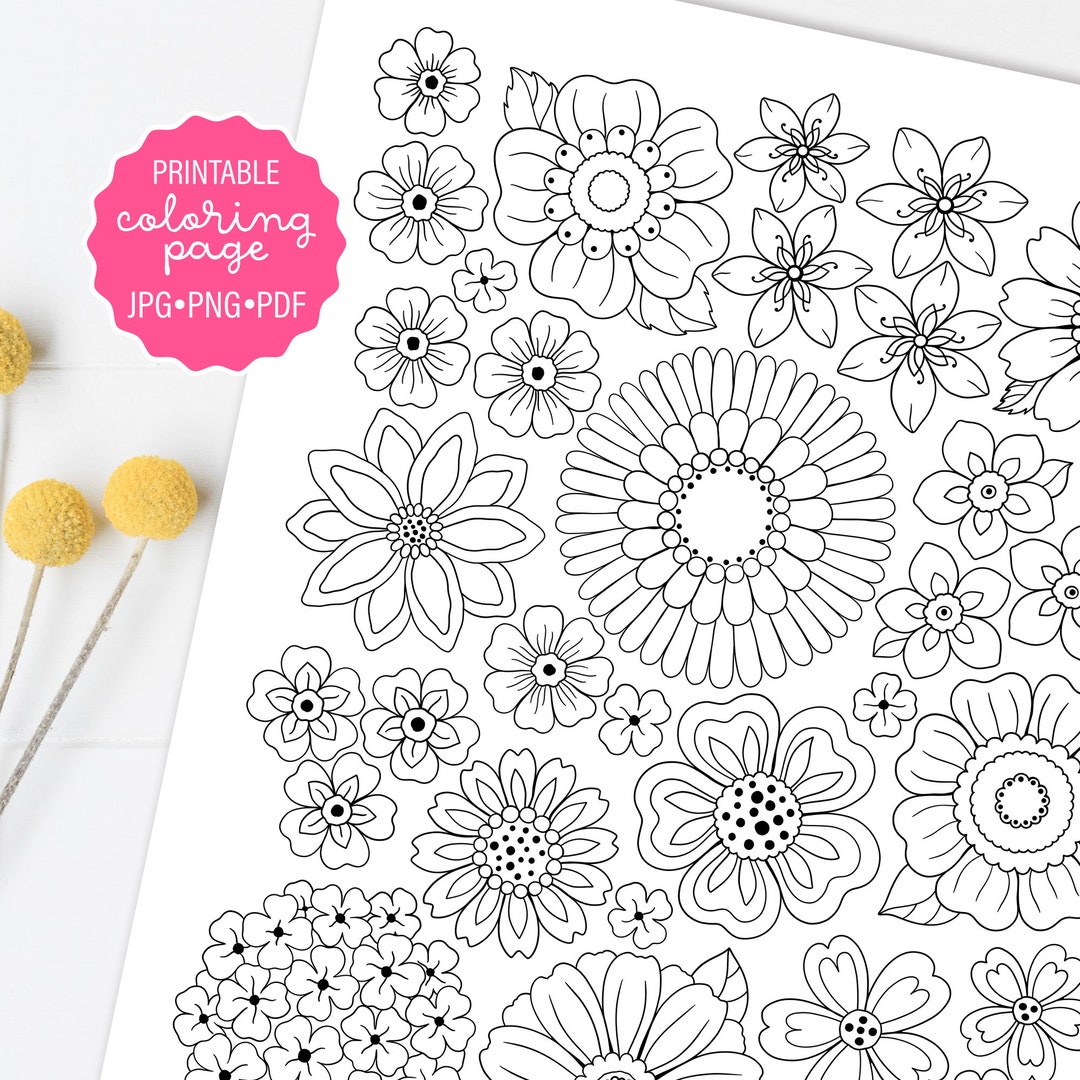 Flower Coloring Page, Floral Pattern, Wildflowers Coloring Sheet ...