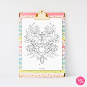 Butterfly Coloring Page, Swallowtail Butterfly Coloring Sheet ...