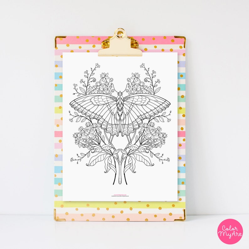 Butterfly Coloring Page, Swallowtail Butterfly Coloring Sheet ...