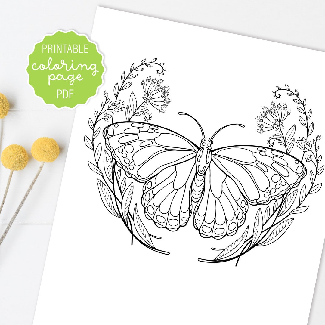 Butterfly Coloring Page, Monarch Butterfly Coloring Sheet, Butterfly ...