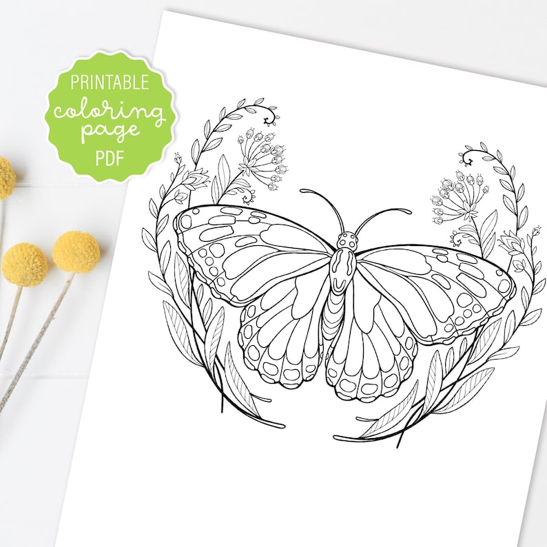 Butterfly Coloring Page, Monarch Butterfly Coloring Sheet, Butterfly ...