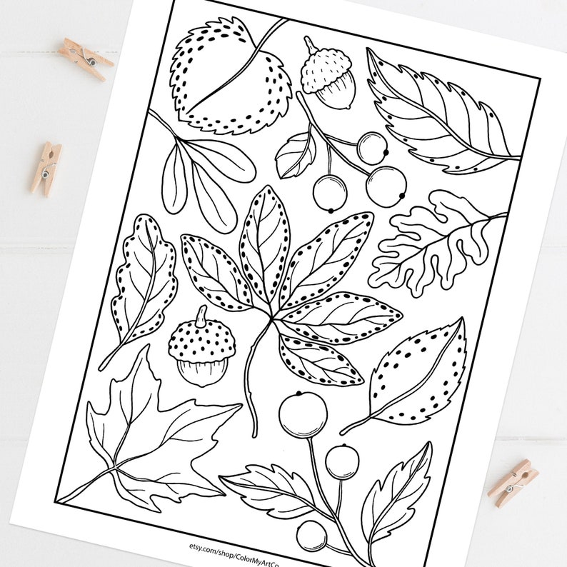 Cute Fall Pumpkins, Mushrooms, Leaves and Snails Coloring Page Set of 4 ...