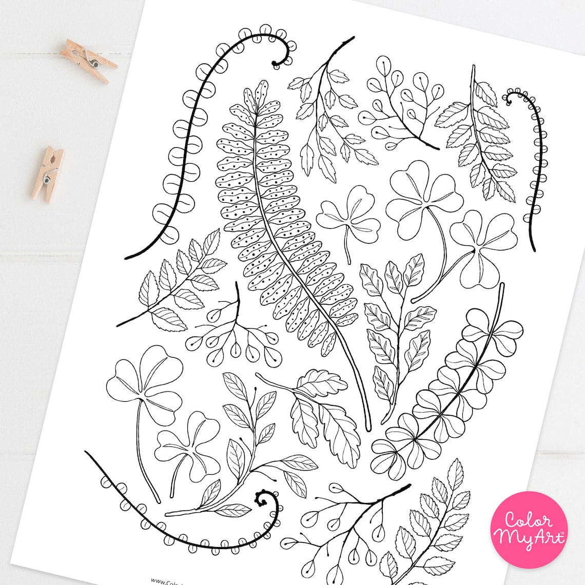 Wildflowers and Fern Coloring Page Set of 4 Printable Forest - Etsy
