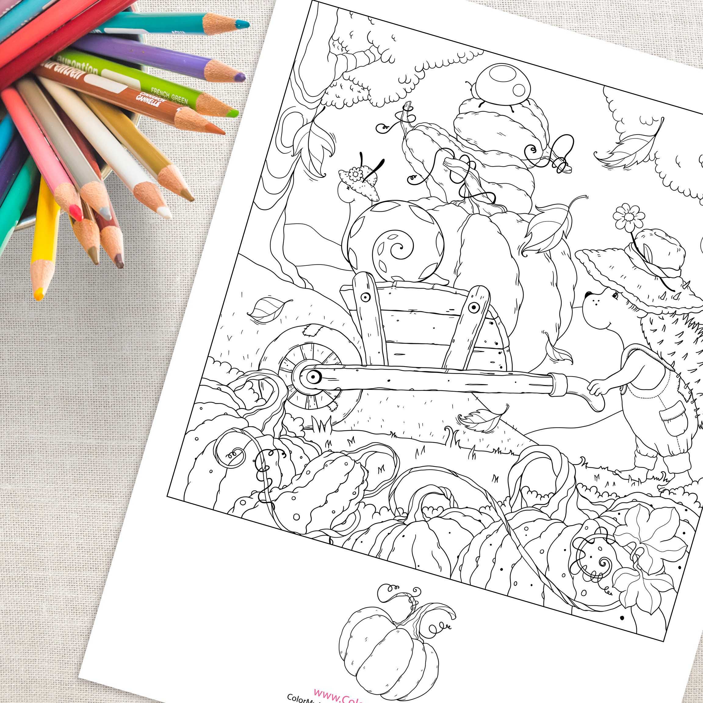Cute Hedgehog, Pumpkins Coloring Sheet, Cute Coloring Page, Snail ...
