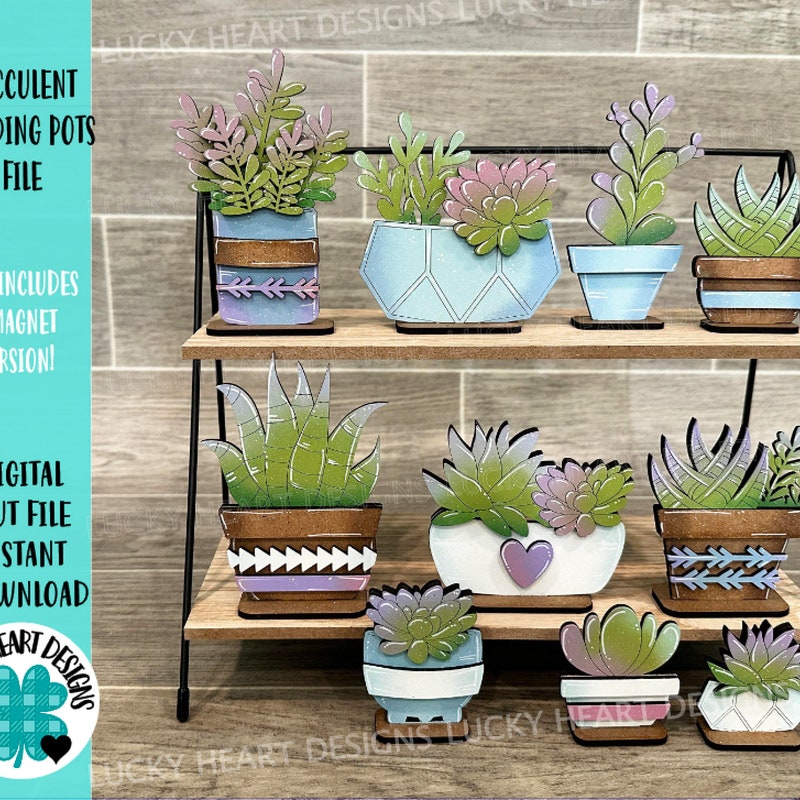 Succulent Svg - Etsy