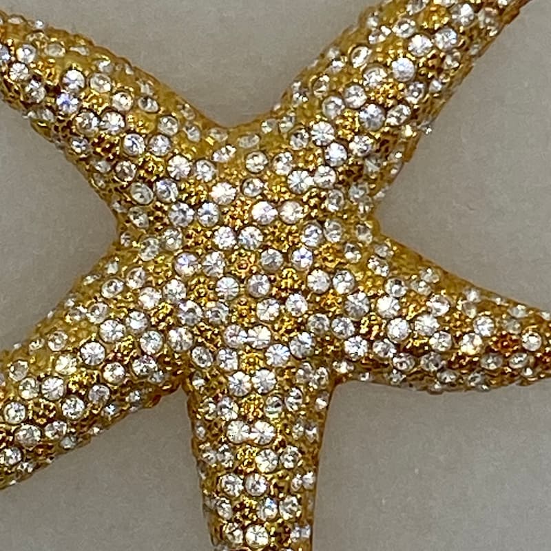 Starfish Brooch - Etsy