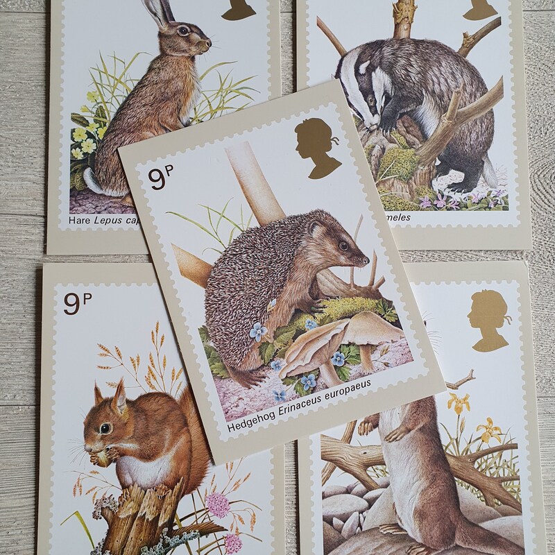 Angela Rabbit - Etsy