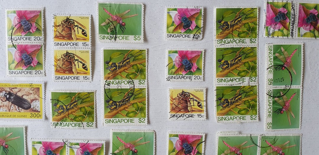 13 Vintage Insects Bugs Vintage Postage Stamps Bee Wasp, Used off Paper ...