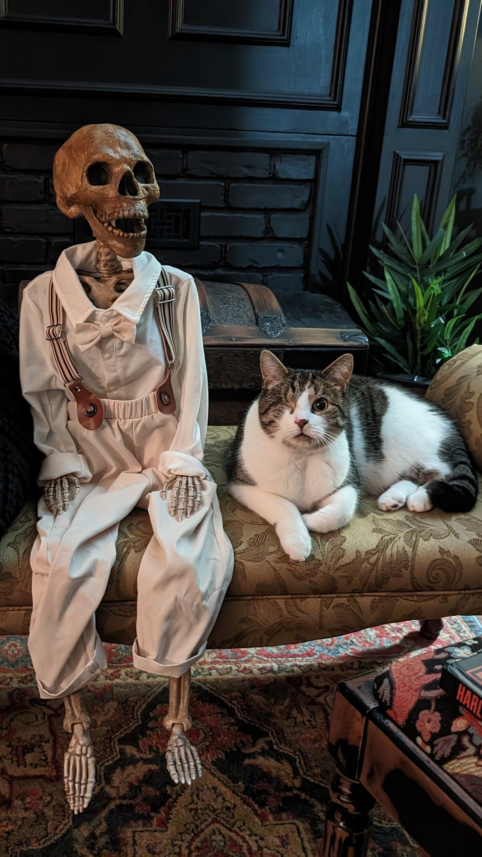 Skeleton Set Halloween Decor Halloween Props - Etsy