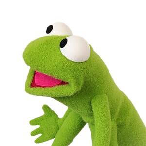 Little Frog Professional Puppet by Uzzyworks. MADE TO ORDER Hand and ...