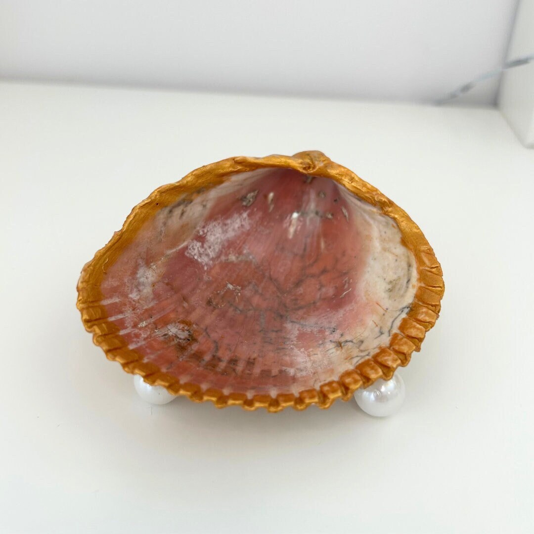 Large Seashell Jewelry Dish Pink Tones With Gold Outline - Etsy
