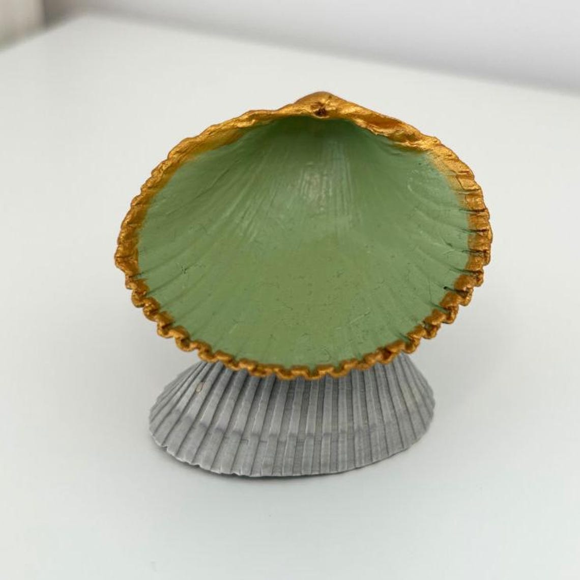 Small Seashell Jewelry Dish Green With Gold Outline - Etsy