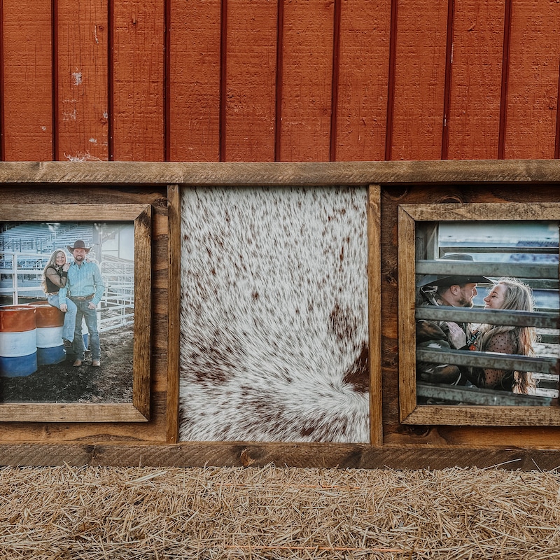 Cow Hide in Pictures - Etsy