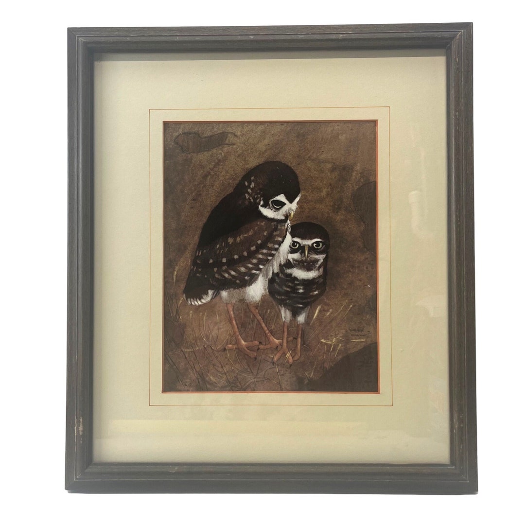 Richard Hinger Burrowing Owls Vintage Framed Art: MCM Farmhouse Decor ...
