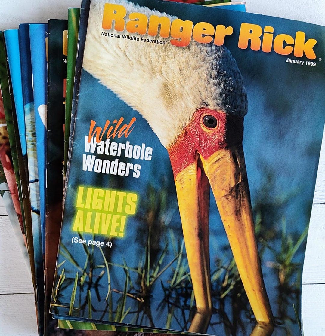 Vintage 1999 Ranger Rick Magazines, Children's Wildlife & Nature ...