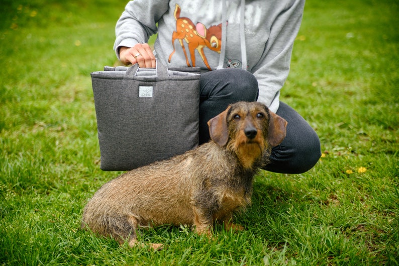 Travel Mat Dog Settle Mat Portable Mat Pet Size M Medium. - Etsy