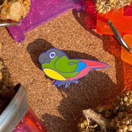 Foot Check Pineapple Green Cheek Conure Hard Enamel Pin | Etsy