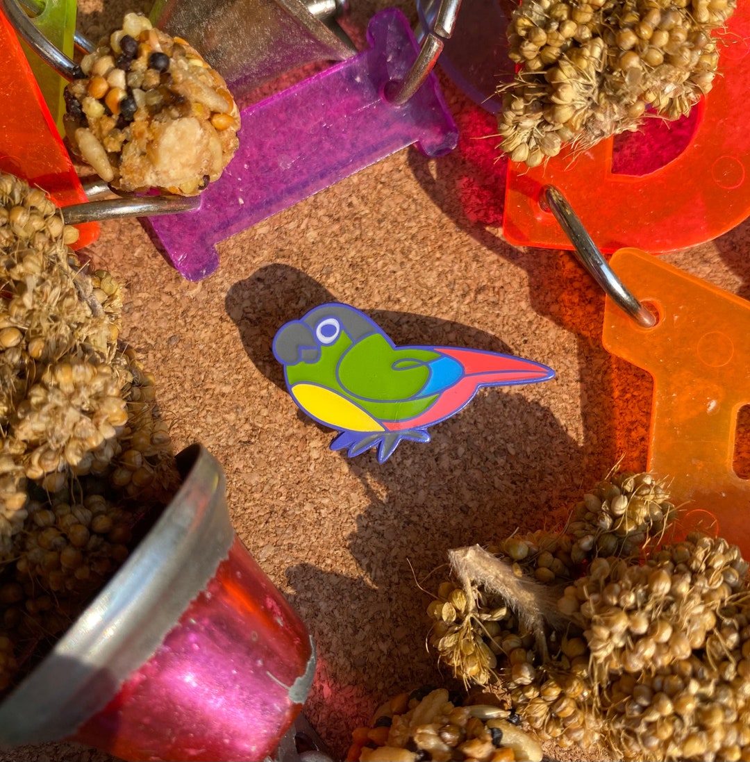 Green Cheek Conure Enamel Pin - Etsy