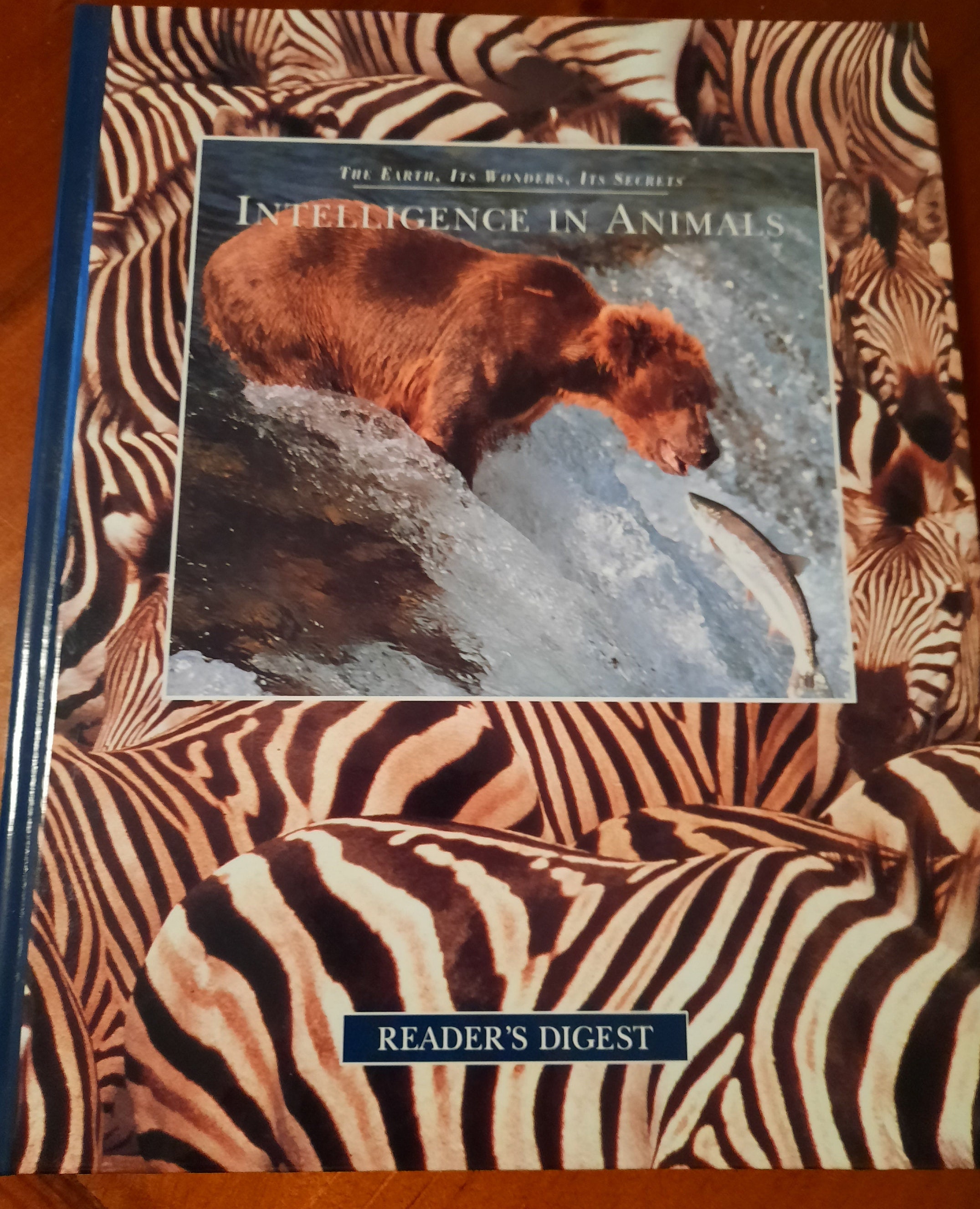 Intelligence in Animals Hardback Book - Etsy UK