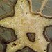 Geode Slice - Etsy