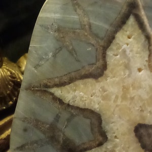 Geode Slice - Etsy