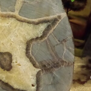 Geode Slice - Etsy