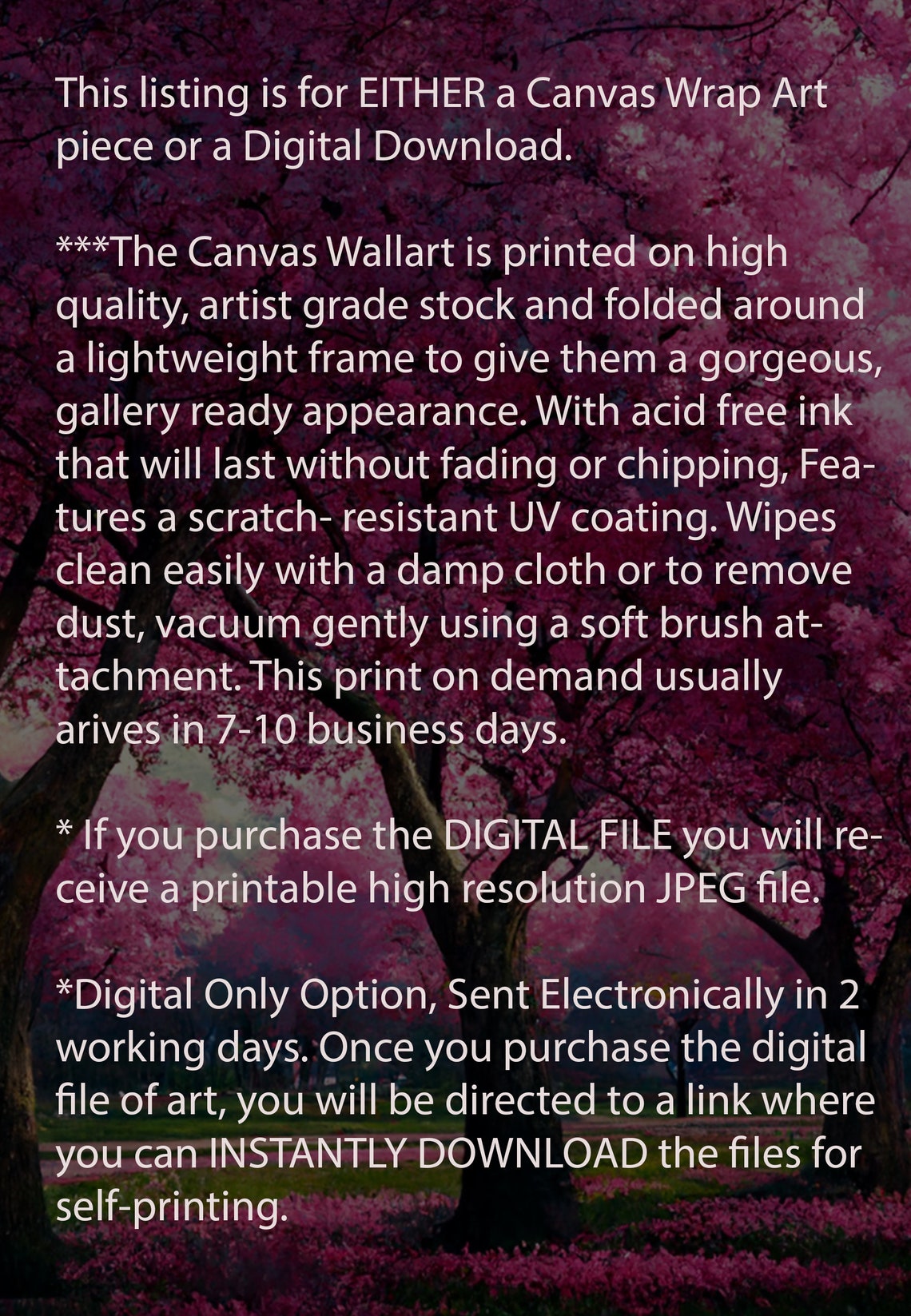 Cherry Blossom Tree Wall Art Vibrant Pink Beauty of Nature - Etsy