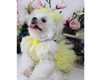 Princess Belle Dog Costume - Etsy