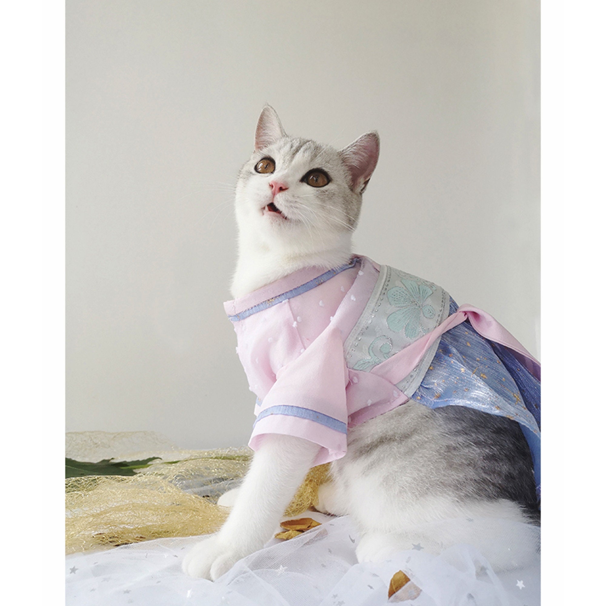 Cat Dog Chinese Hanfu Han Costume Oriental Tang Suit New Year - Etsy