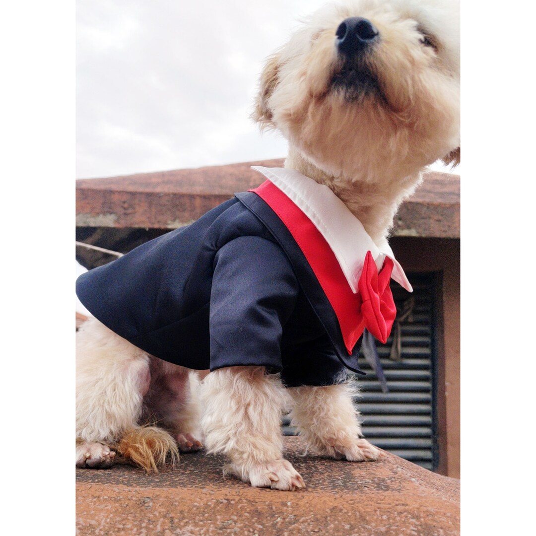 Custom Dog Graduation Cap and Gown, Cat Graduation Robe Outfit Pet ...