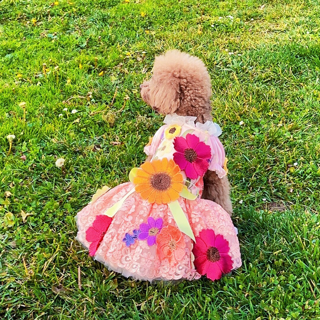 Dog 3D Flower Dress, Multi Floral 3D Dress, Pet Wedding Bridesmaid ...