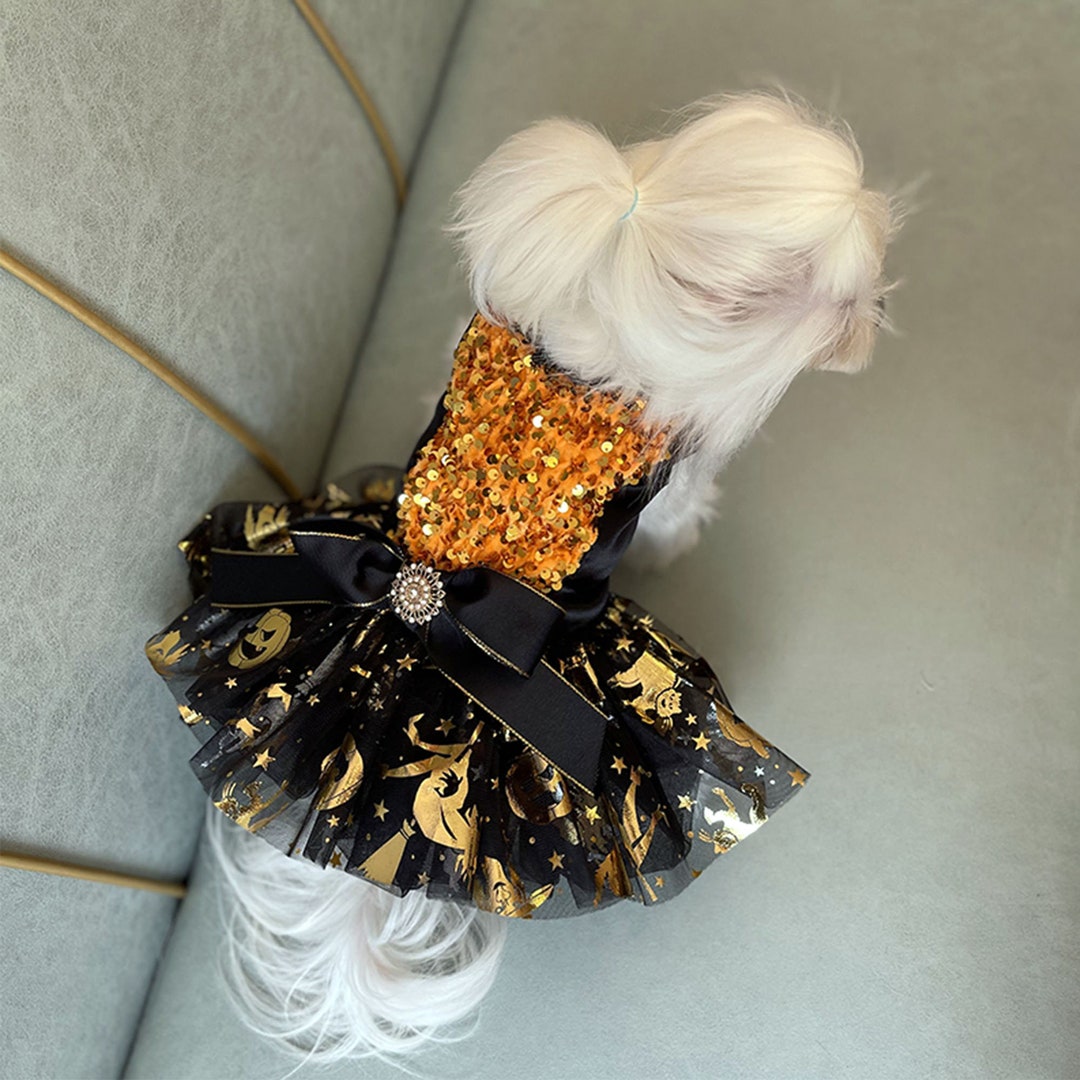 Cat Dog Witch Costume Halloween, Dog Pumpkin Costume Dog Pumpkin Dress ...