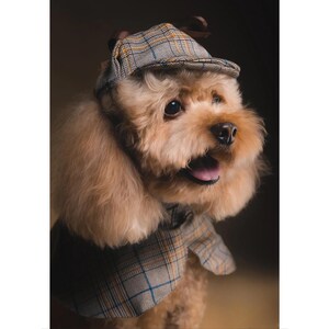 Dog Detective Costume Halloween, Deerstalker Hat and Cape for Large ...