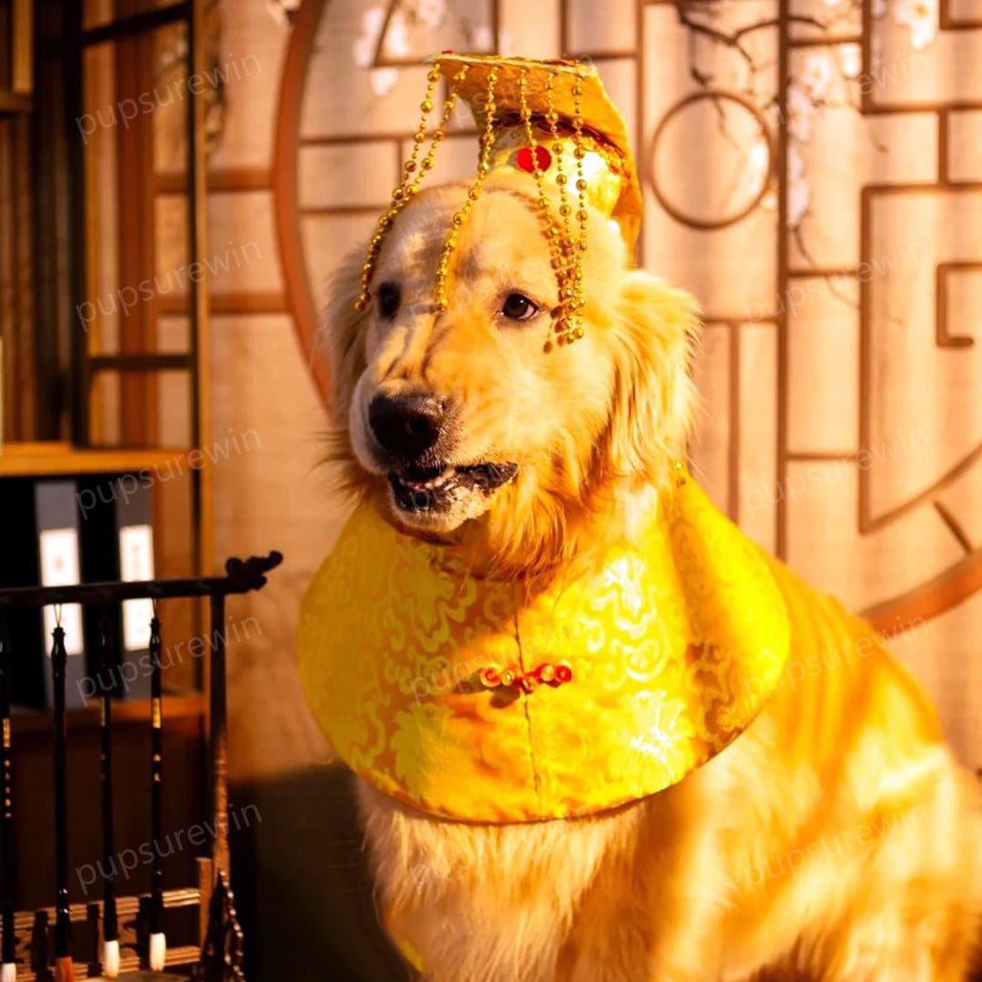Emperor Dog Costume for Chinese New Year, Yellow Crown & Cape Collar ...