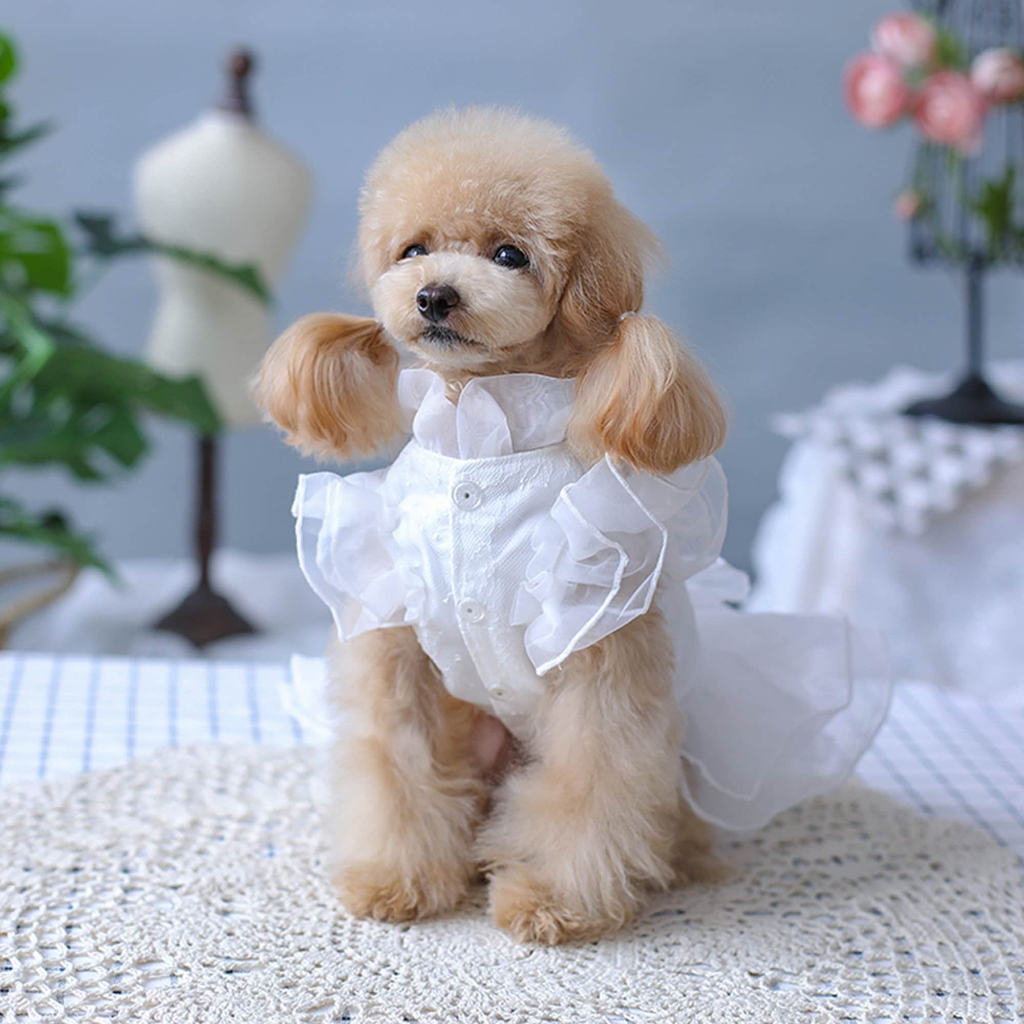 Dog Wedding Dress Costume