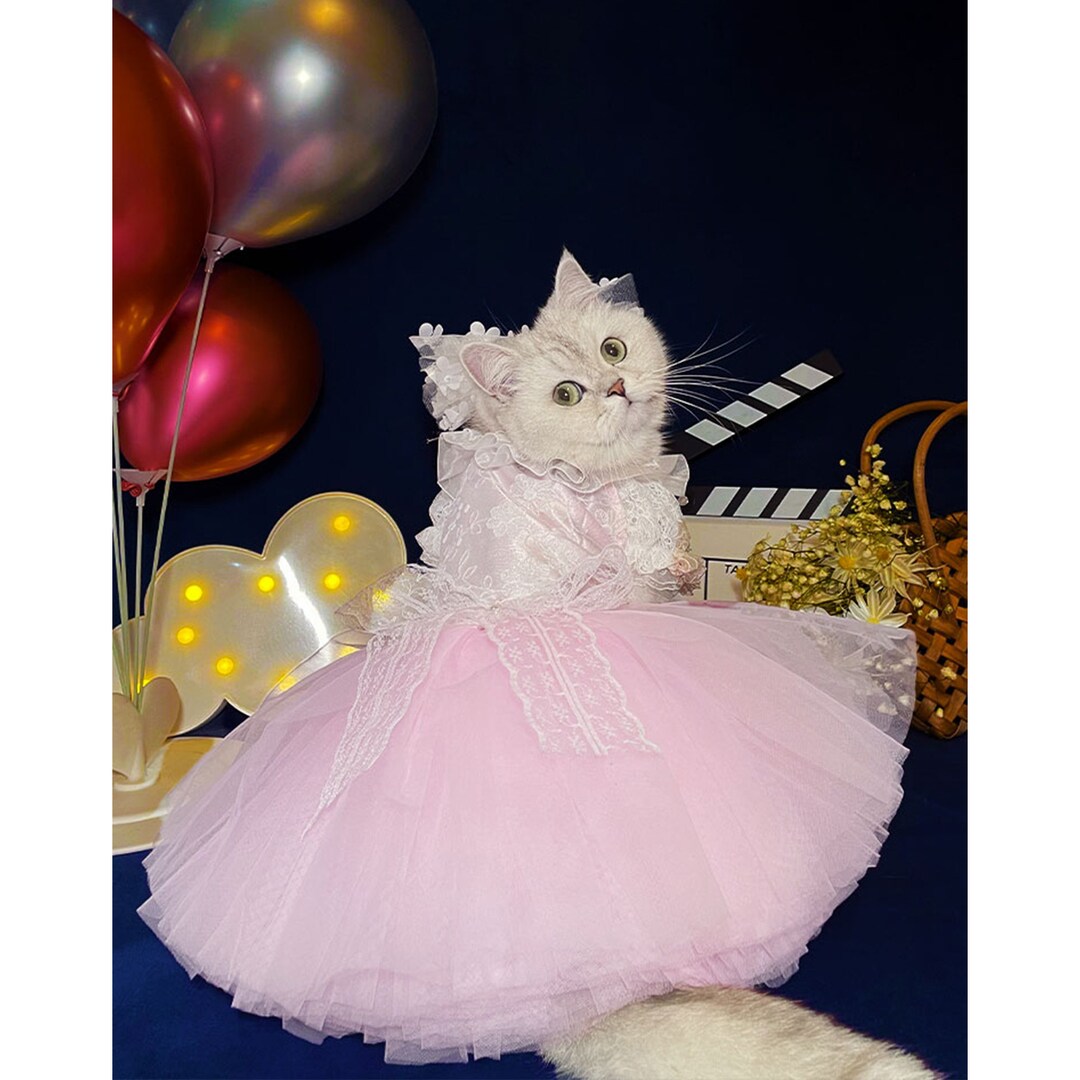 Cat Wedding Dress Pink Tulle Gown Custom Size, Pet Bridesmaid Princess ...