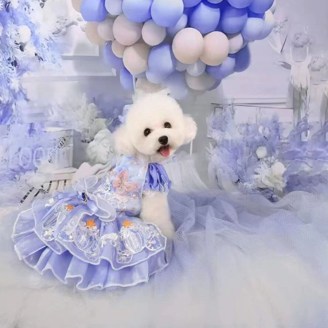 Halloween Dog Princess Costume Custom Size, Cinderella Inspired Blue ...