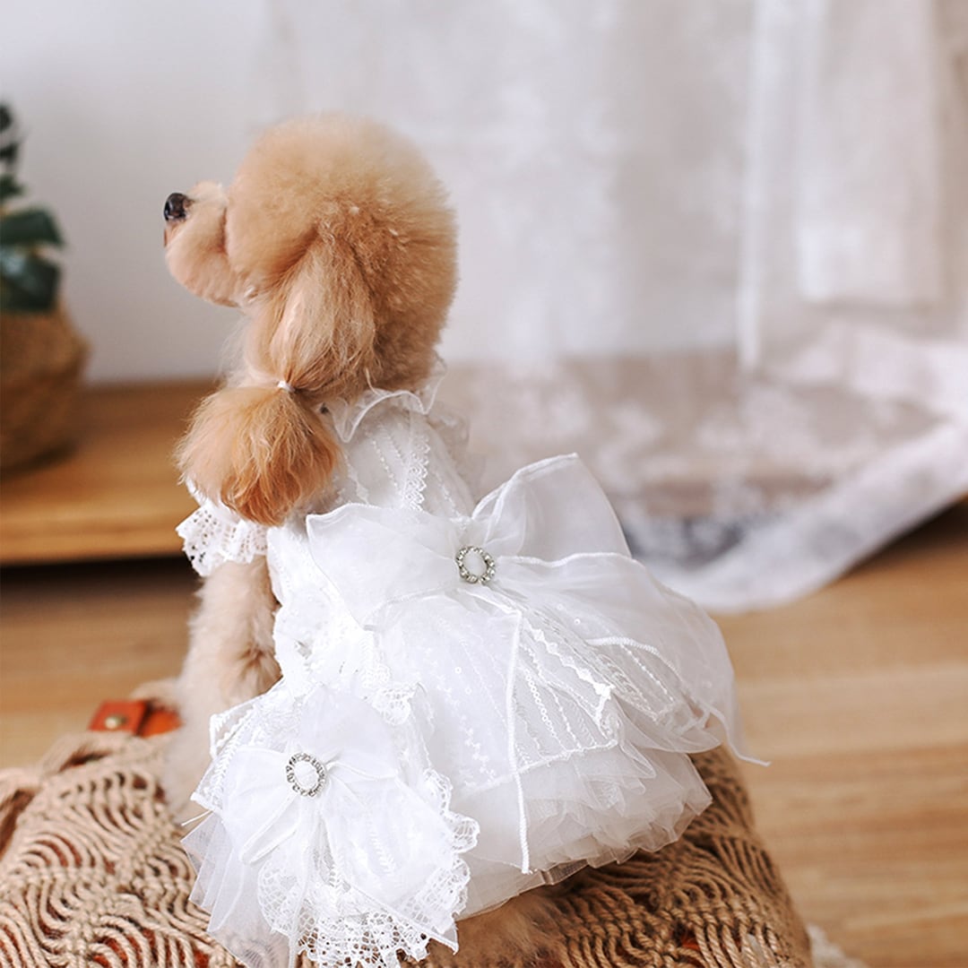 Cat Dog Wedding Dress Whitepet Bridesmaid Bride Costume Dog - Etsy