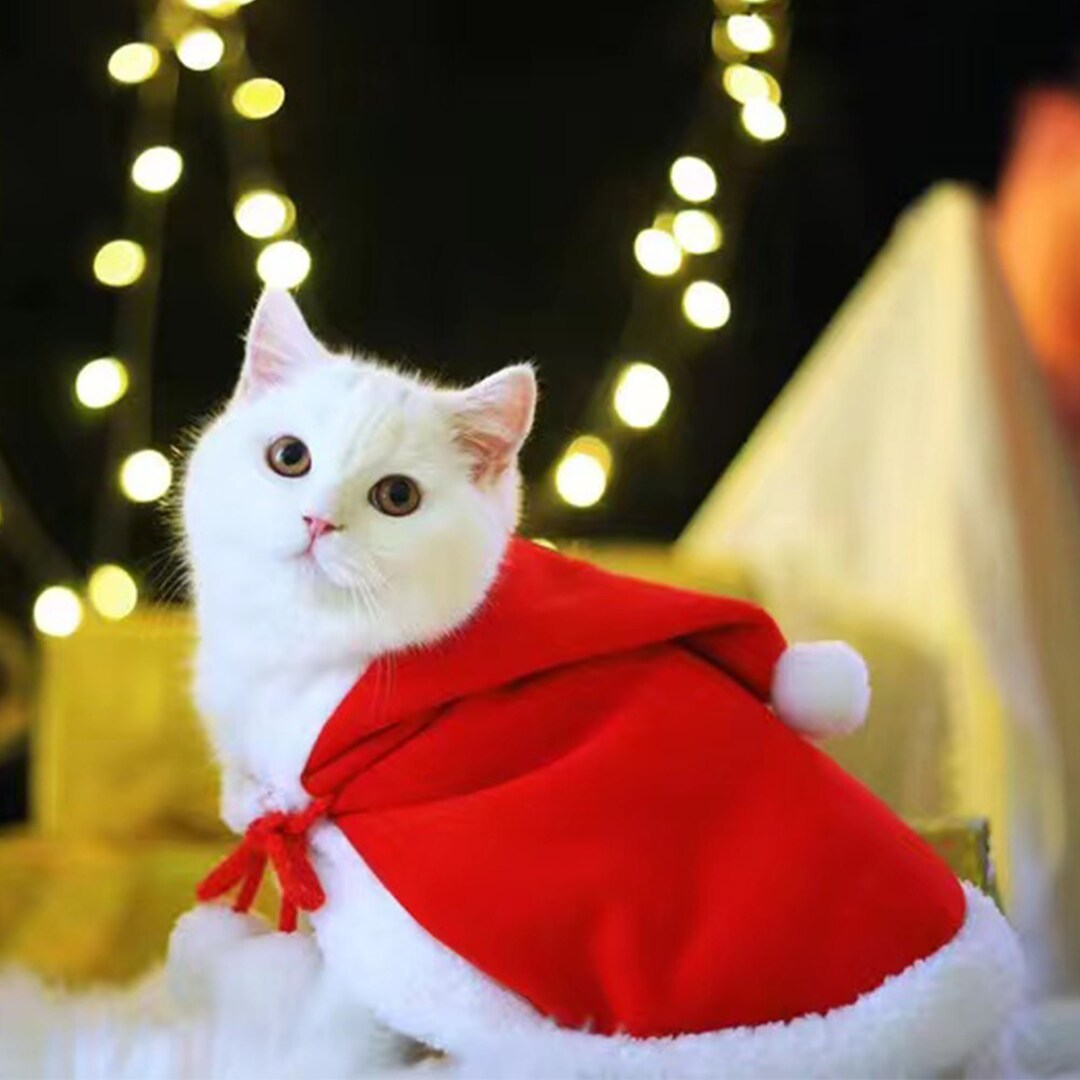 Cat Dog Christmas Costume, Santa Claus Dog Costume, Xmas Large Dog ...