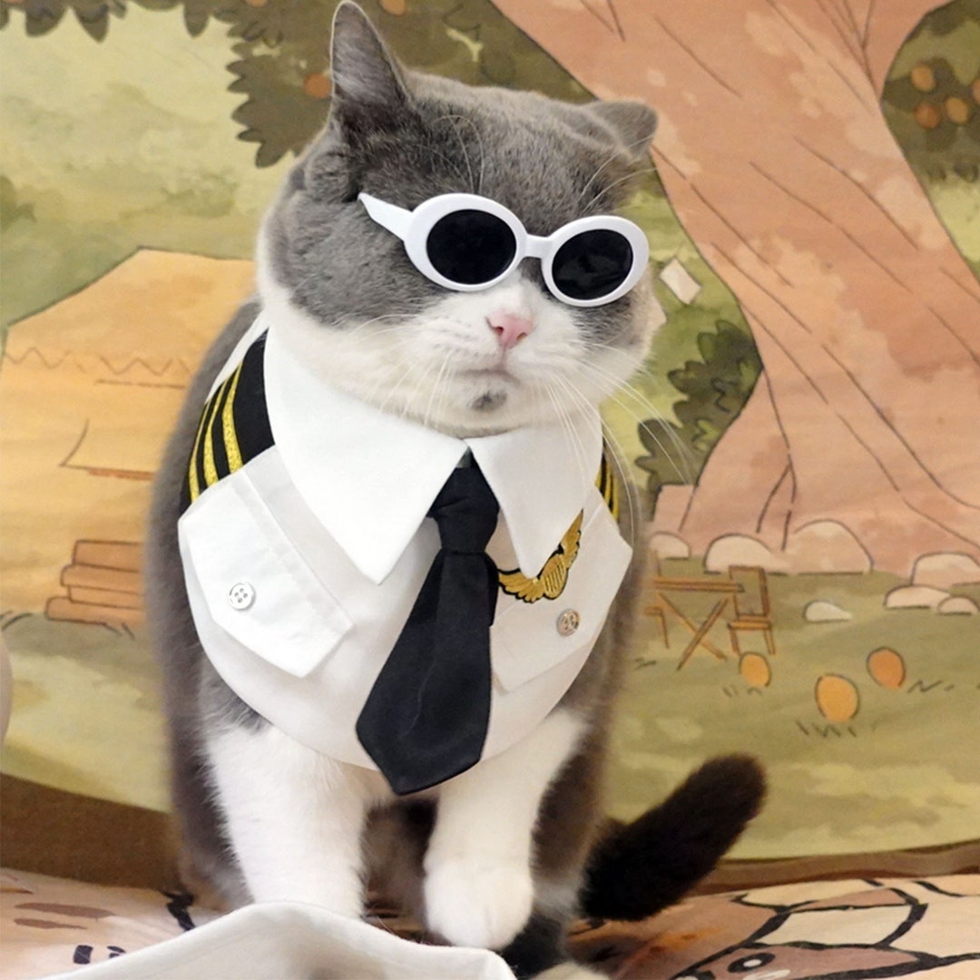 Cat Pilot Costume Halloween, Air Force Cat Bandana, Air Captain Cat ...