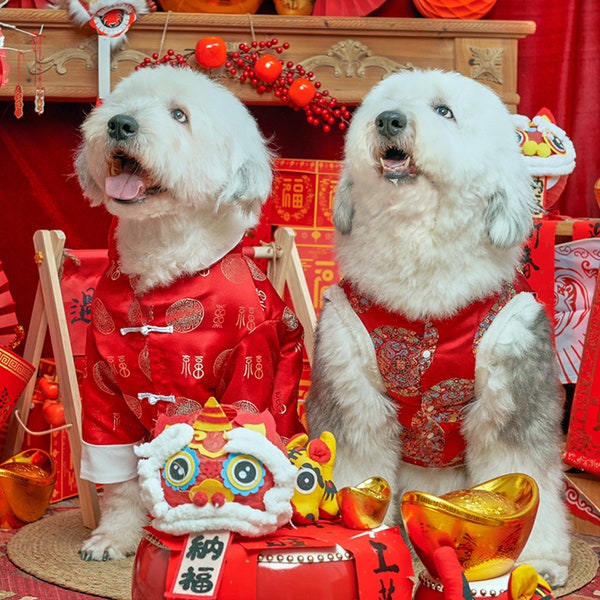 Year of the Dog - Etsy